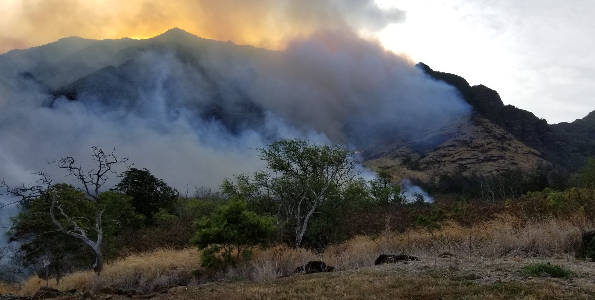 Climate Change Portal | Uncloaking the Cost of Carbon: Applications in ...