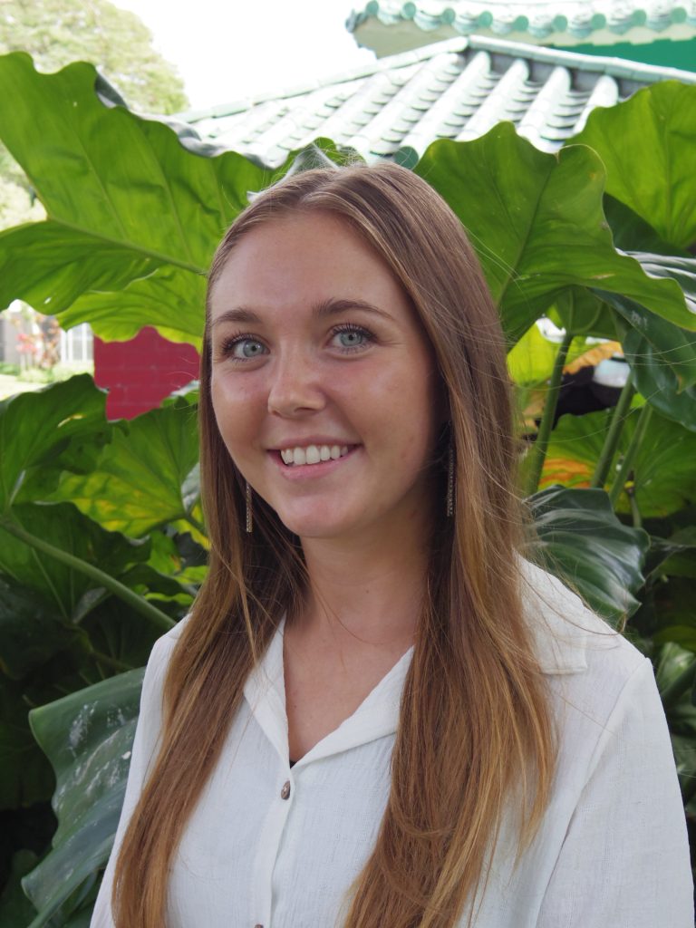 Climate Change Portal | Capital Improvement Resilience VISTA 2023