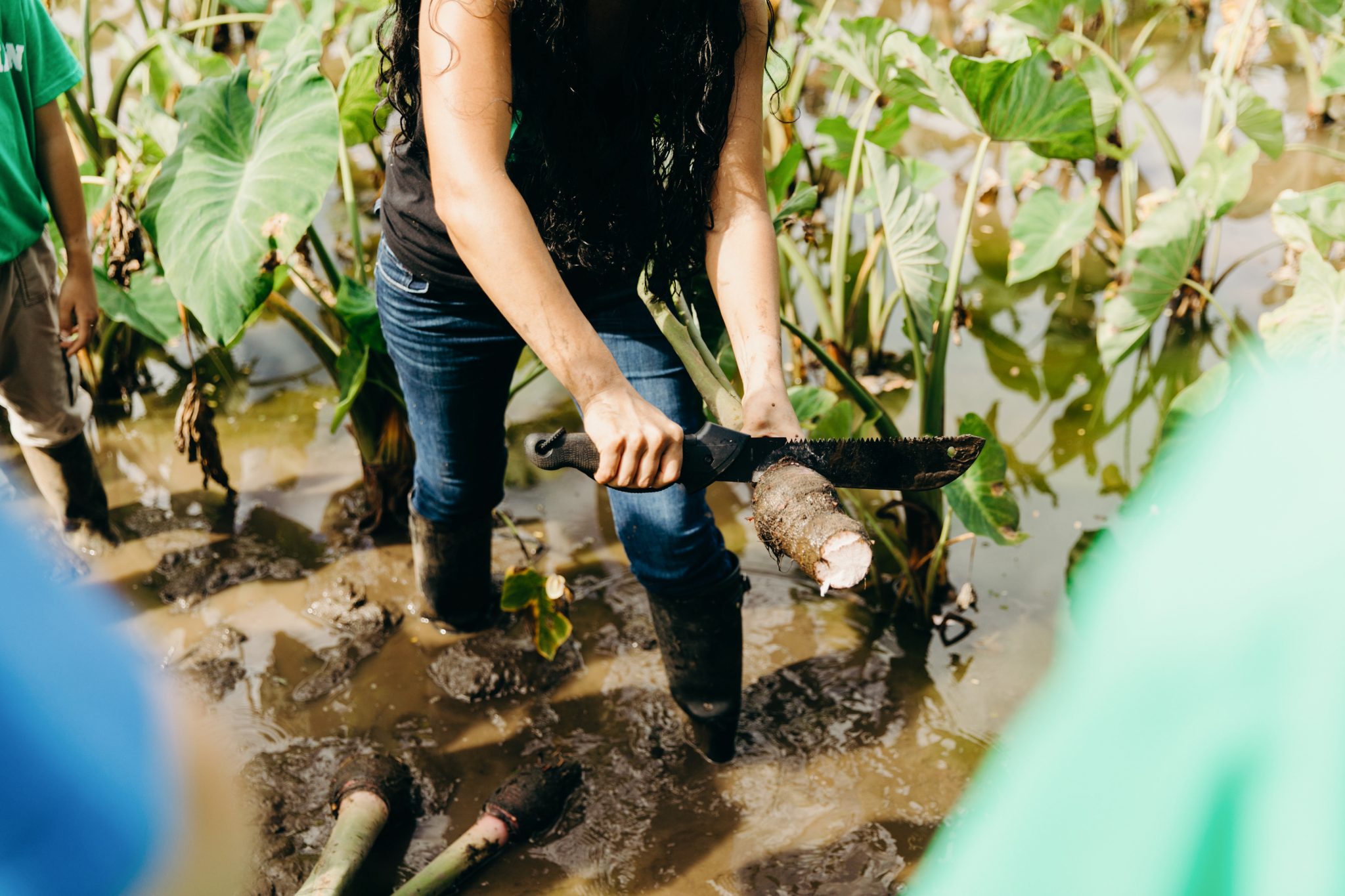 Climate Change Portal | Spotlights