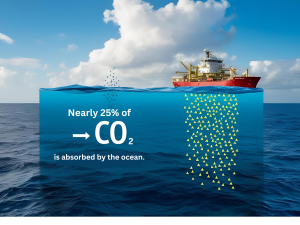 Climate Change Portal | Ocean Acidification